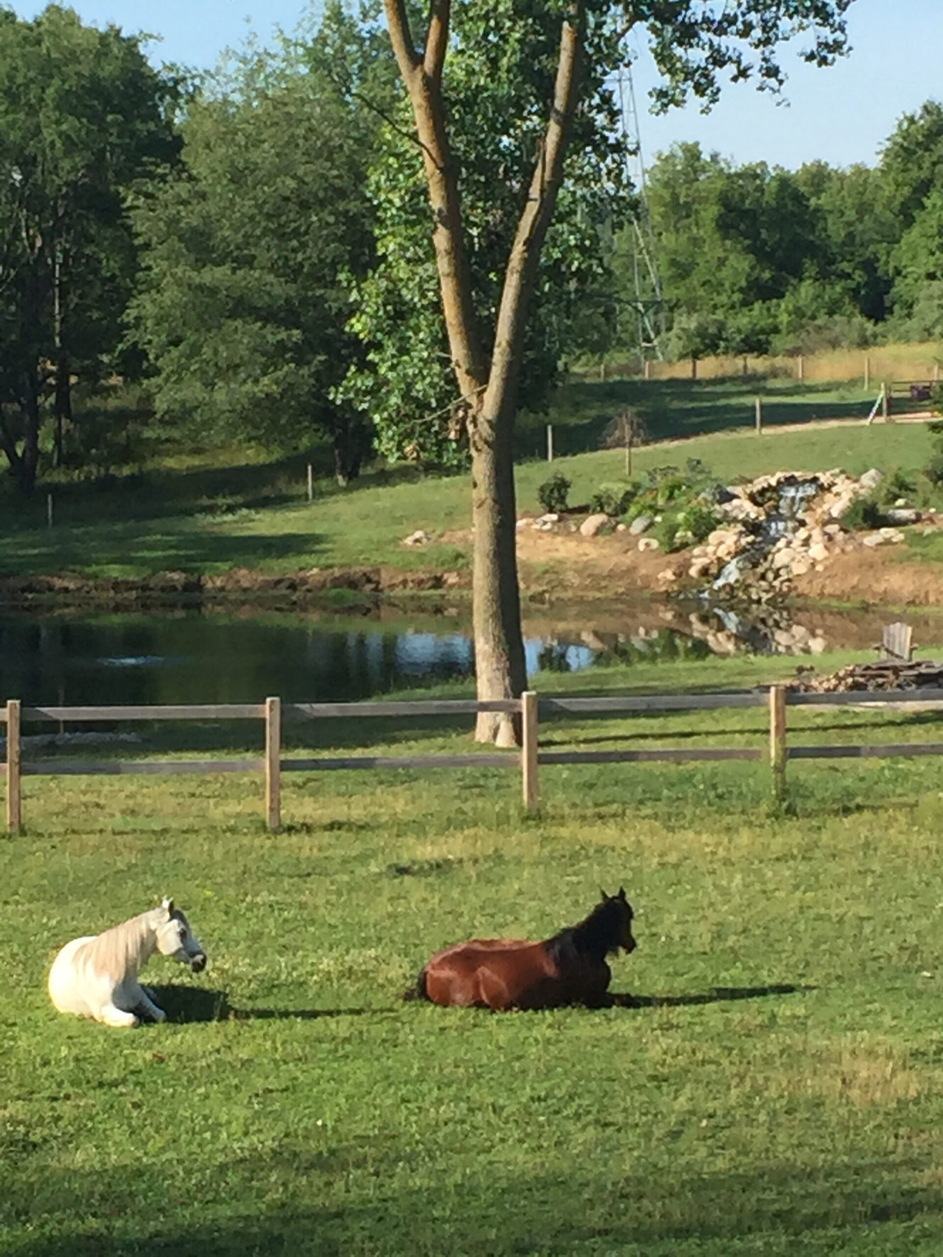 Yoke Farms. | Emu oil, peacock feathers, and chicken eggs.